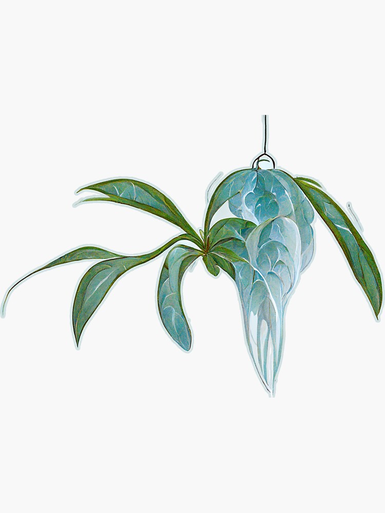 "Hanging cocoon plant" Sticker for Sale by Opalaeo | Redbubble