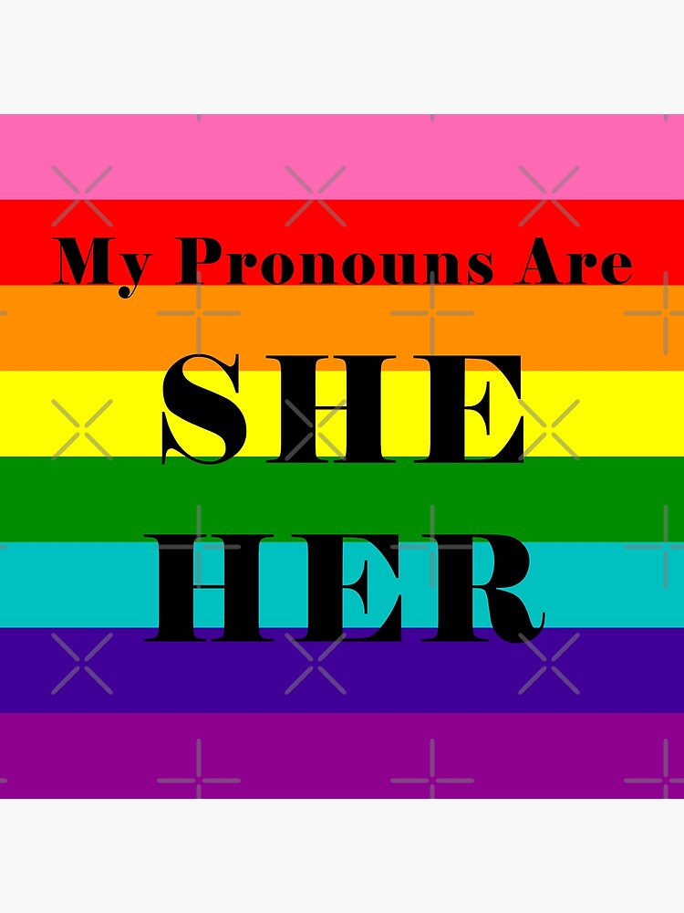 "She Her Pronouns on Original Pride Flag" Poster for Sale by N-malone ...