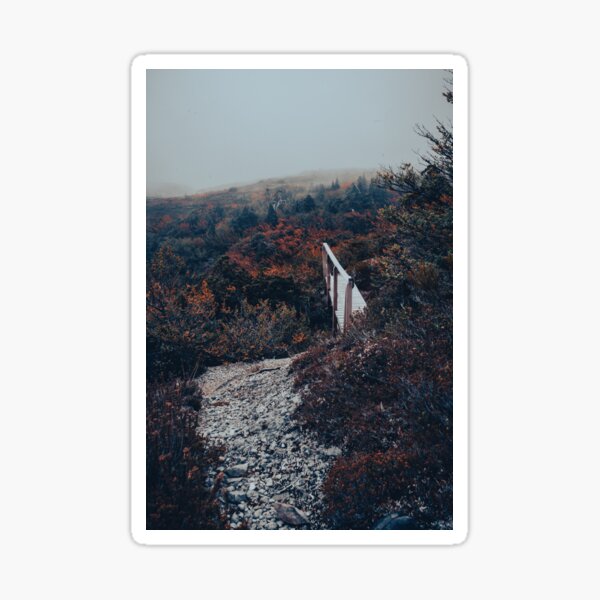 "Misty Path" Sticker for Sale by QuinHayesPhotos | Redbubble