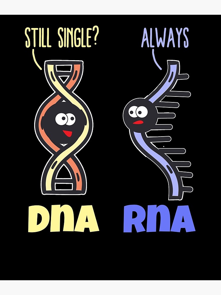 "Biology Science Biologist Scientist Funny DNA RNA" Poster for Sale by ...