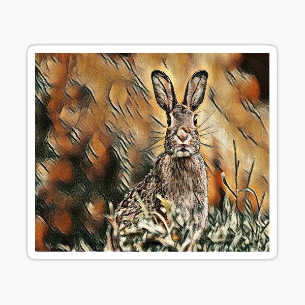 "Picture Of A Wild Hare With Long Ears" Sticker for Sale by McThingummy ...