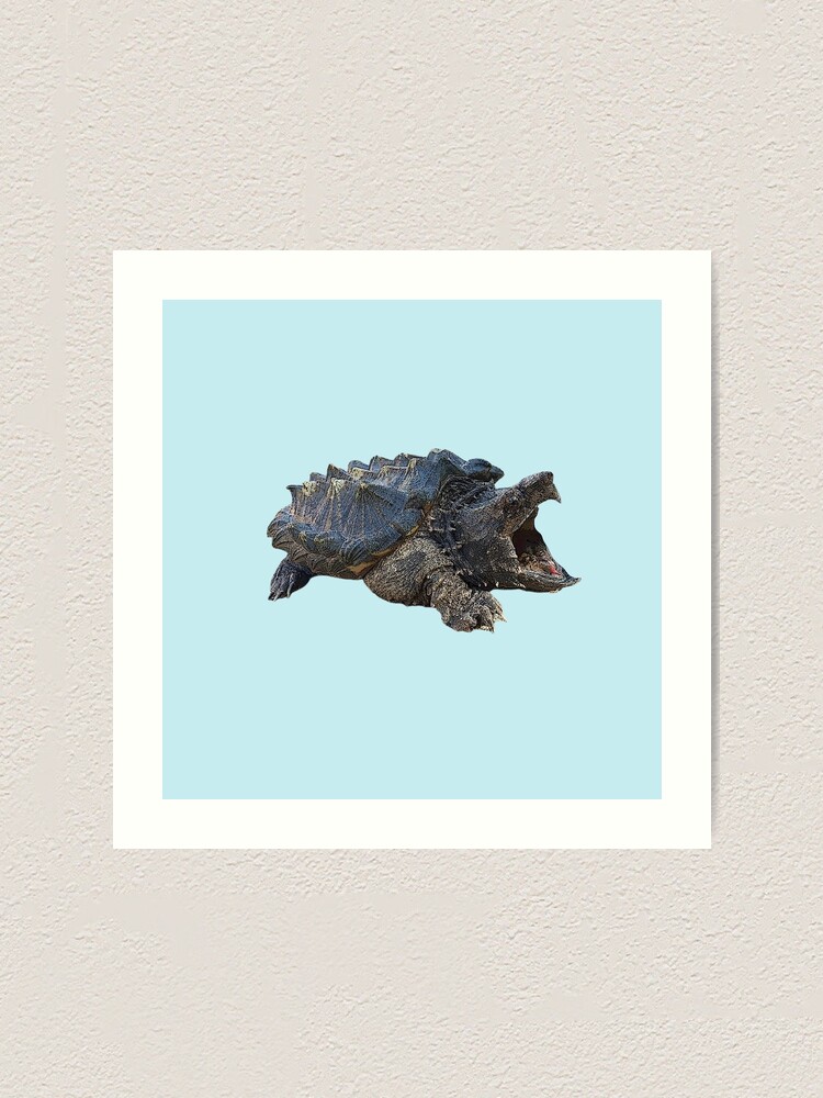 "Alligator Snapping Turtle Color Design Painting " Art Print for Sale ...