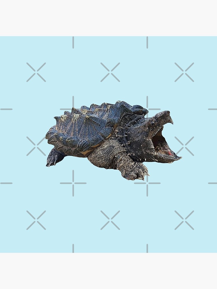 "Alligator Snapping Turtle Color Design Painting " Art Print for Sale ...