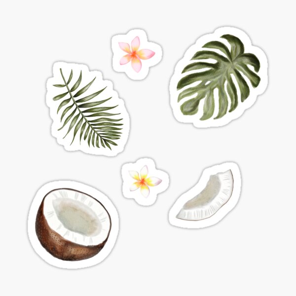 "Coconut For You Tropical Sticker Pack" Sticker for Sale by Mondakranta ...