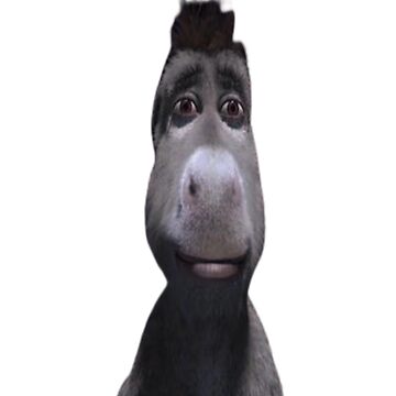 Sad Donkey Shrek Face