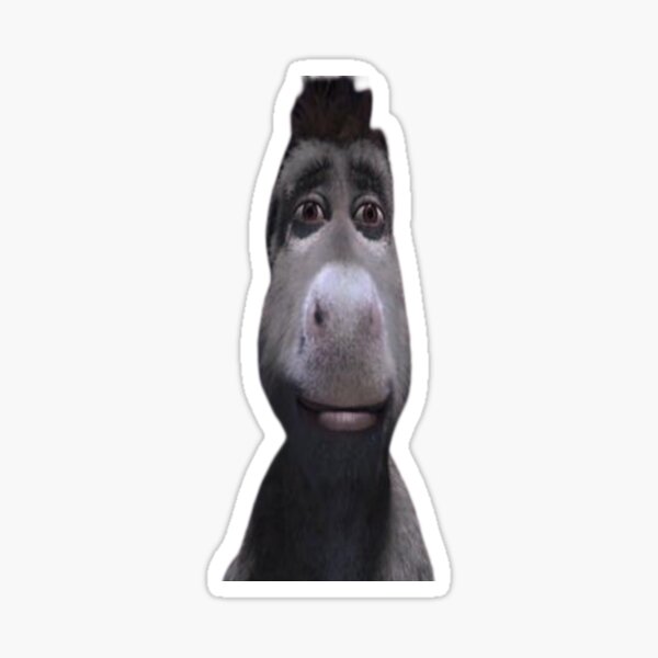 "Staring Donkey from shrek" Sticker for Sale by Shrewd Mood | Redbubble