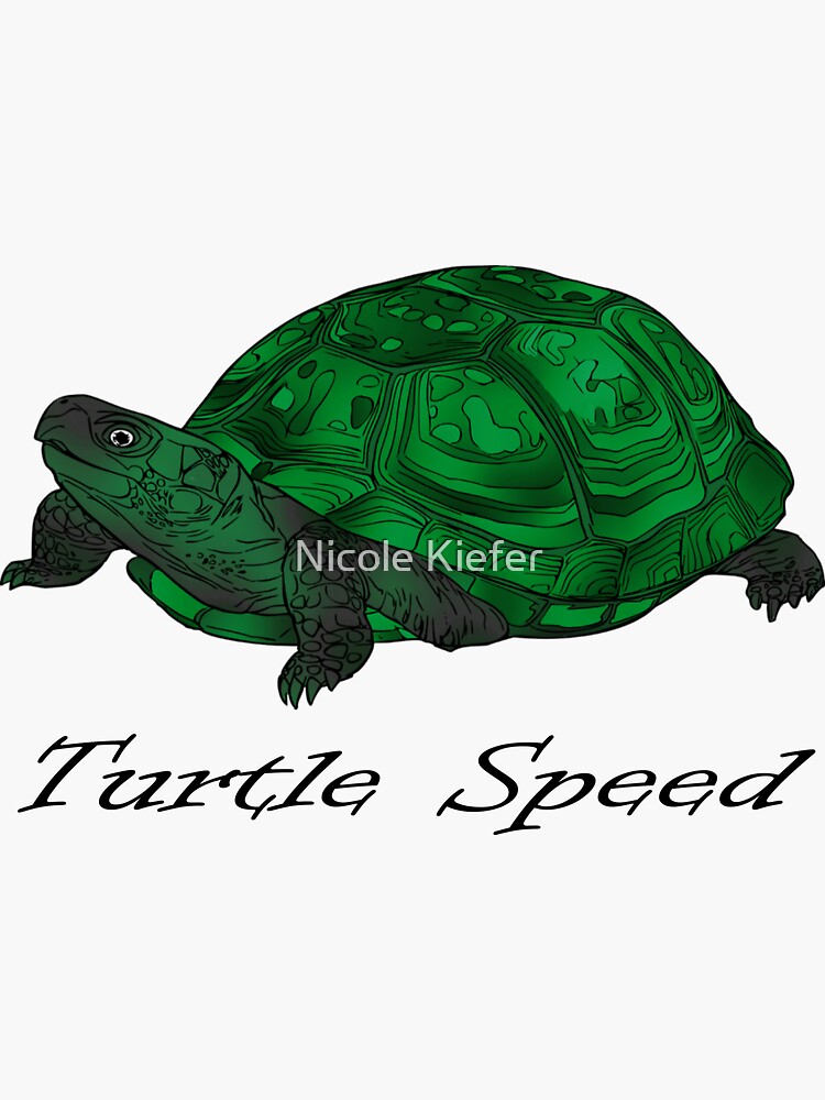 "Turtle Speed" Sticker by NicoleK-design | Redbubble