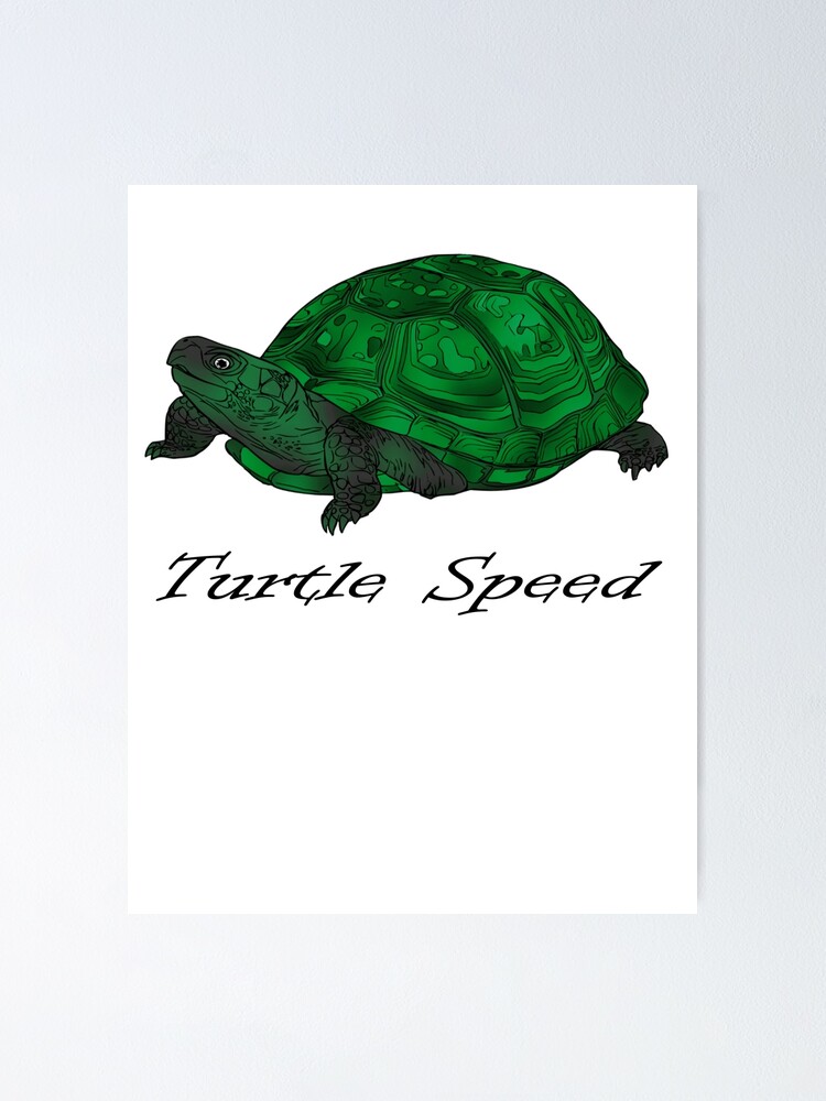 "Turtle Speed" Poster by NicoleK-design | Redbubble