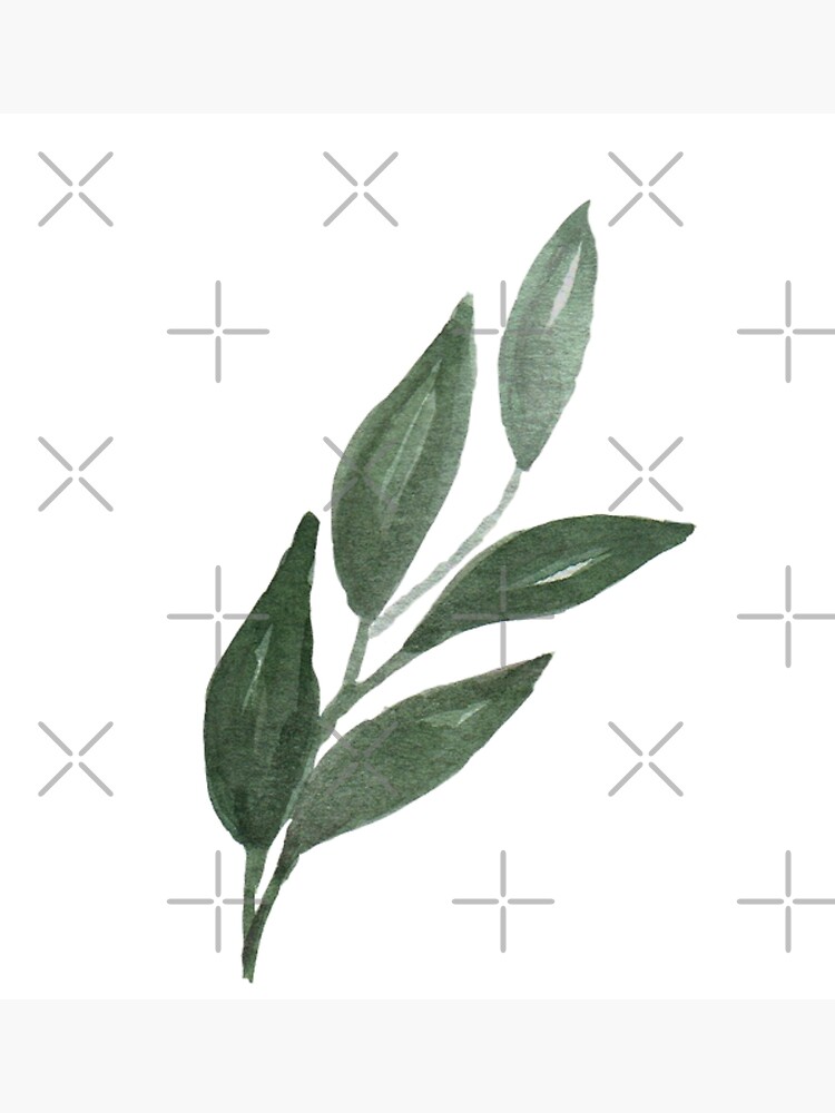 "Cute Sage Green Plant Set For Plan" Poster for Sale by JustBeCoooool ...