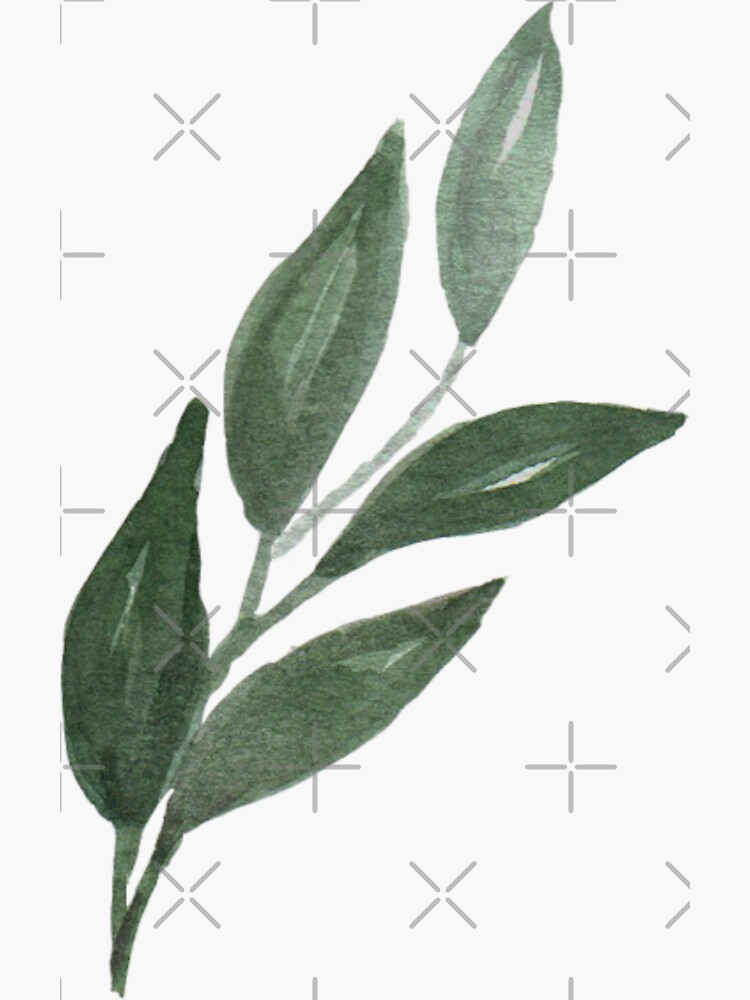 "Cute Sage Green Plant Set For Plan" Sticker for Sale by JustBeCoooool ...