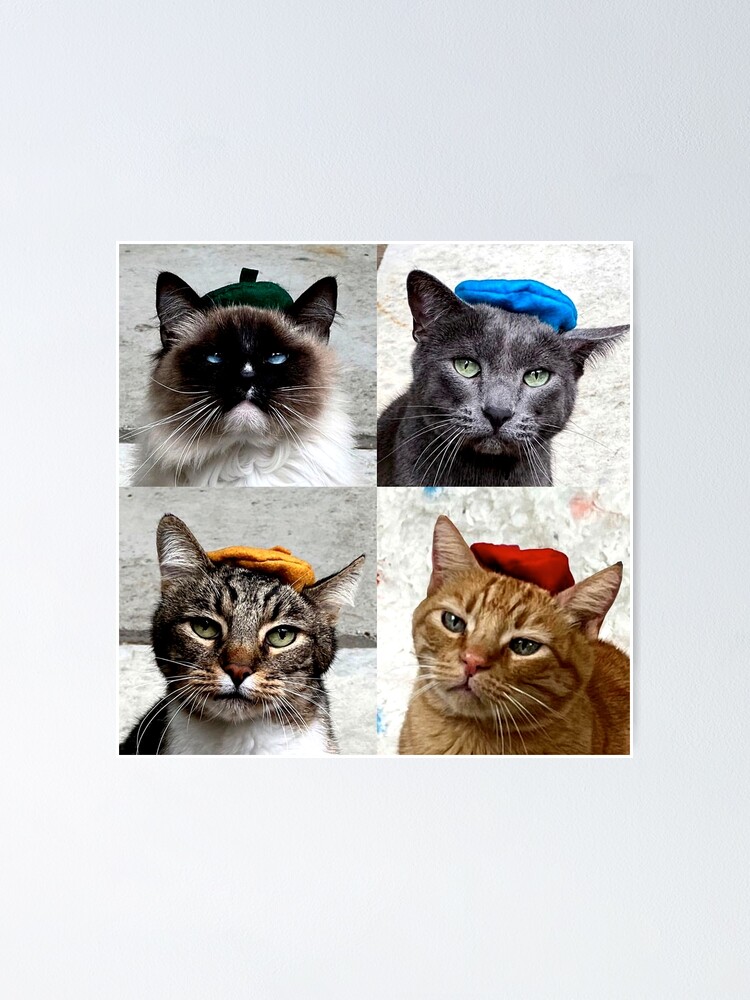 "LINDA Cats band" Poster for Sale by ldstei12c | Redbubble