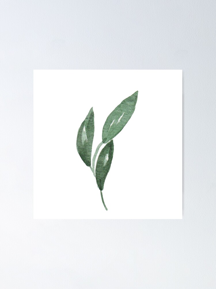 "Cute Sage Green Plant Set For Plan" Poster for Sale by JustBeCoooool ...