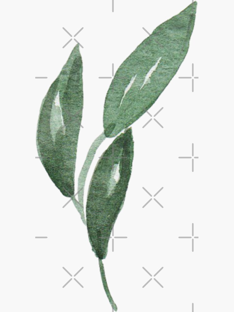 "Cute Sage Green Plant Set For Plan" Sticker for Sale by JustBeCoooool ...