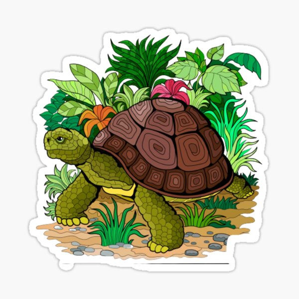 "Turtle Tee" Sticker for Sale by RandaMay | Redbubble