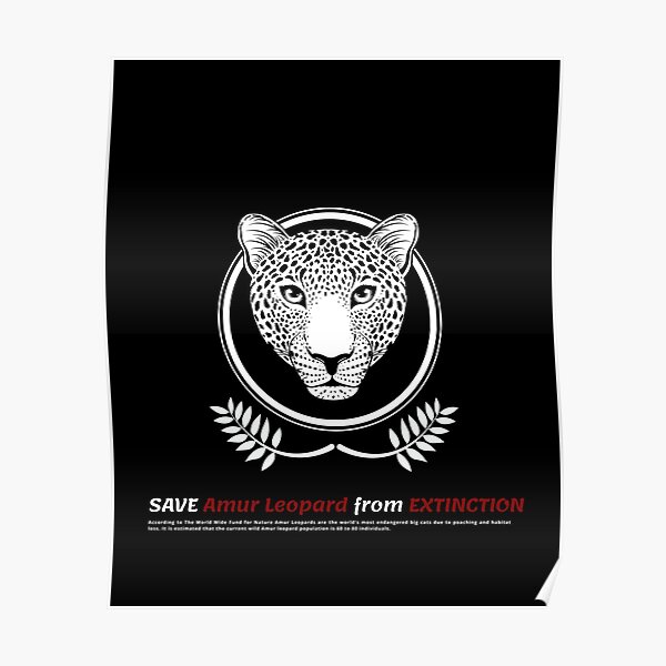 "Save Amur Leopard from extinction" Poster for Sale by TheCarthaginian ...