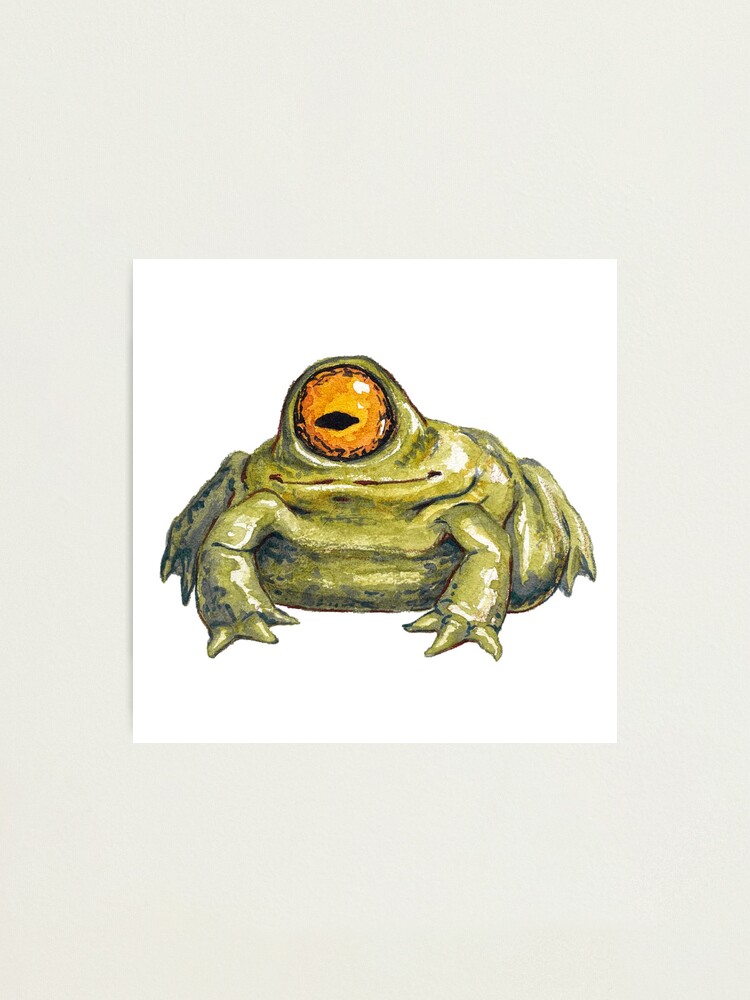 "cyclops frog" Photographic Print for Sale by Zack Stith | Redbubble