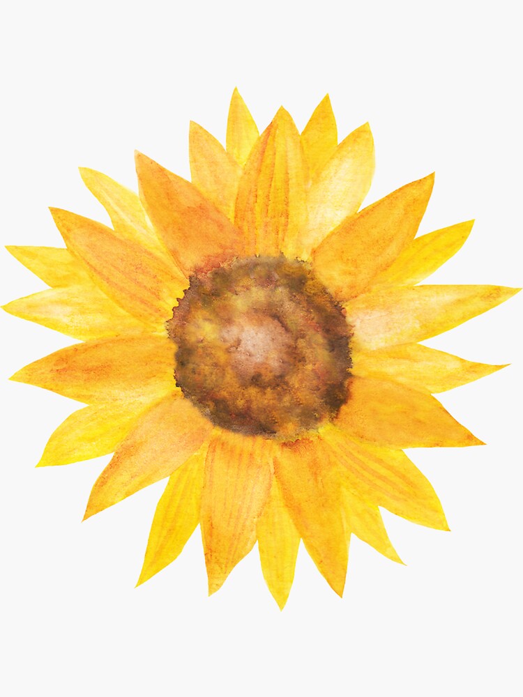 "Sunflower" Sticker for Sale by Cool-cat-art | Redbubble