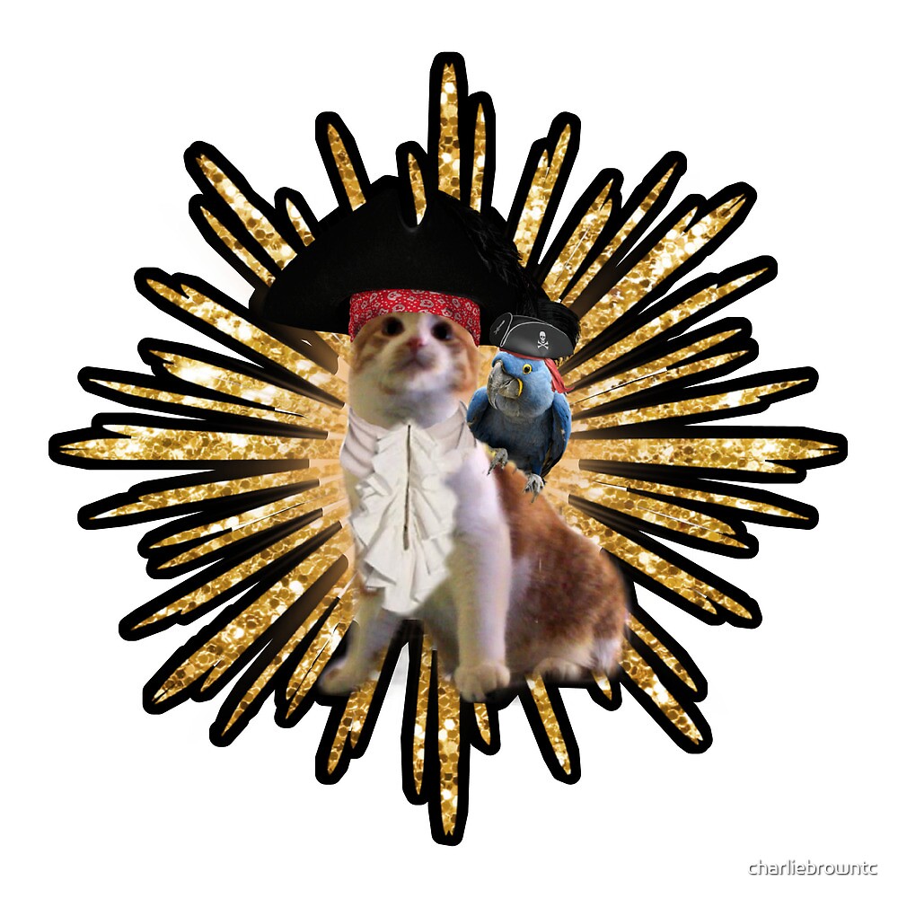 "Gonzo, Gentlecat Pirate" by charliebrowntc | Redbubble