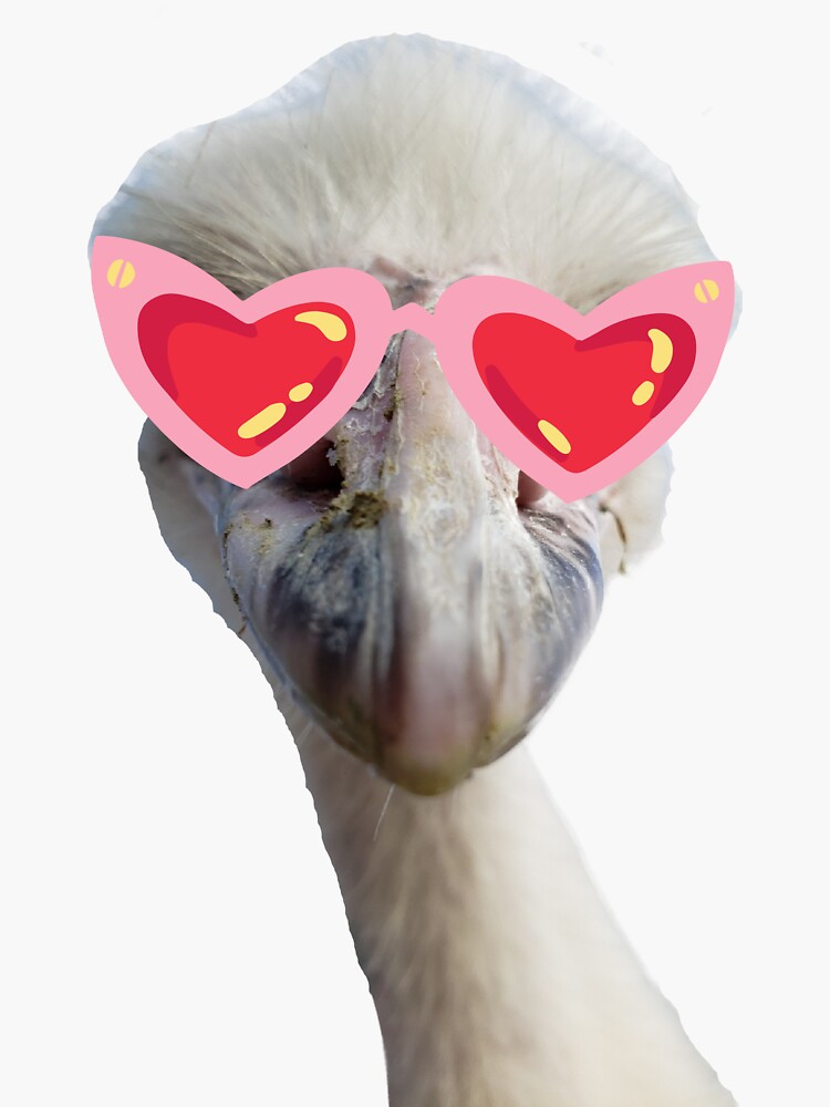 "Emu With Glasses - Texas White Emu With Heart Glasses" Sticker for ...