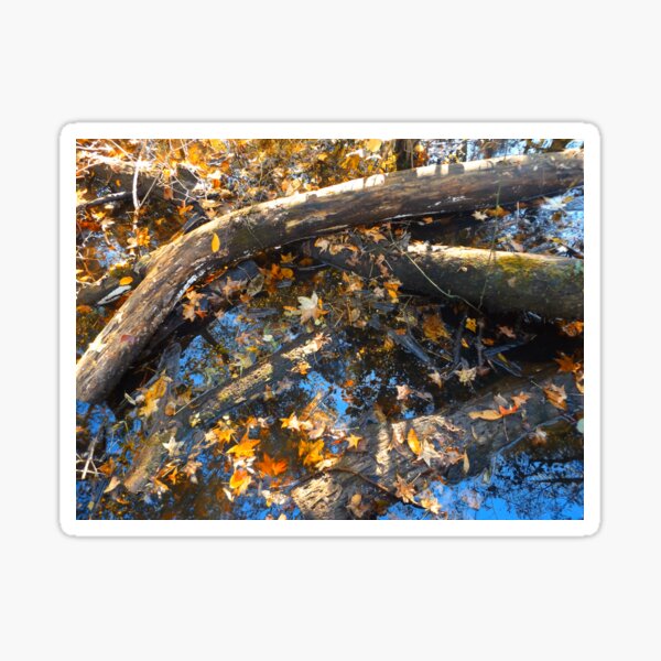 "Whimsical Fall Puddle " Sticker for Sale by TheTealLeopard | Redbubble