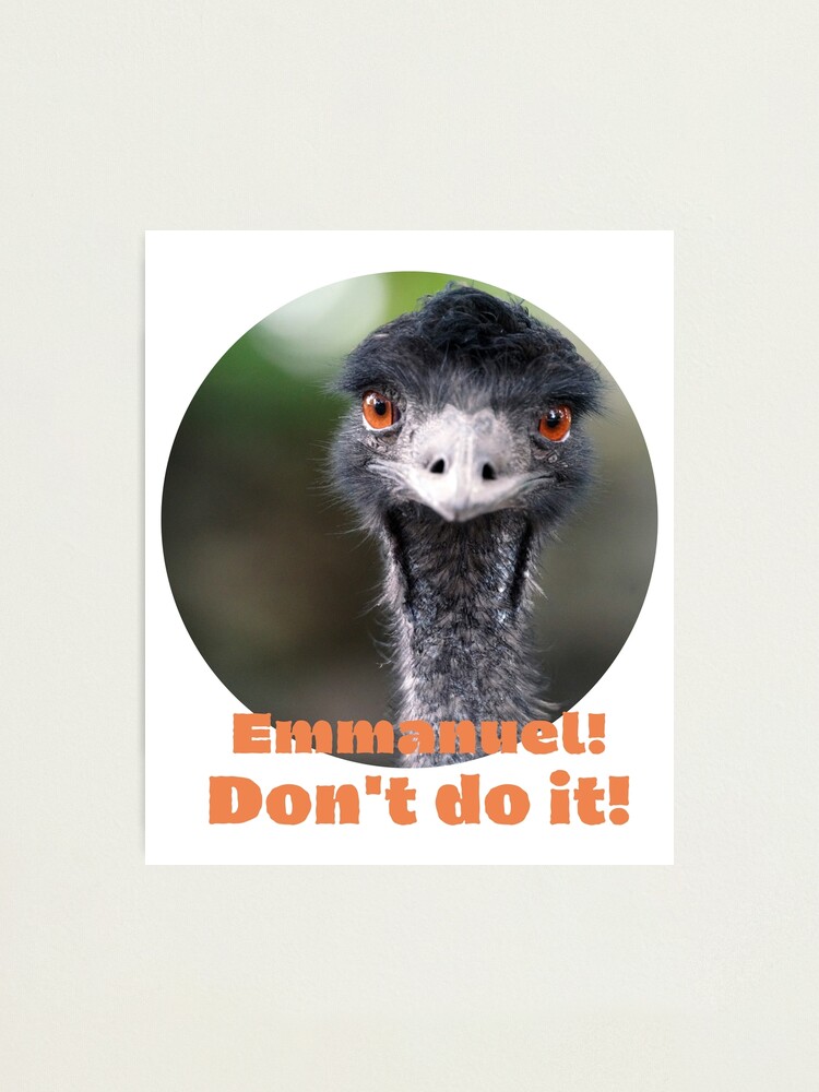 "Emmaneul dont don't do it ostrich emu knucklebump farms knucklebump ...