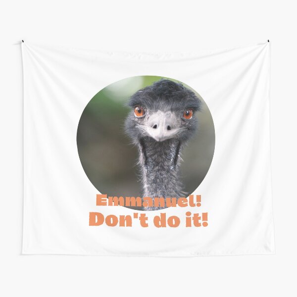 "Emmaneul dont don't do it ostrich emu knucklebump farms knucklebump ...