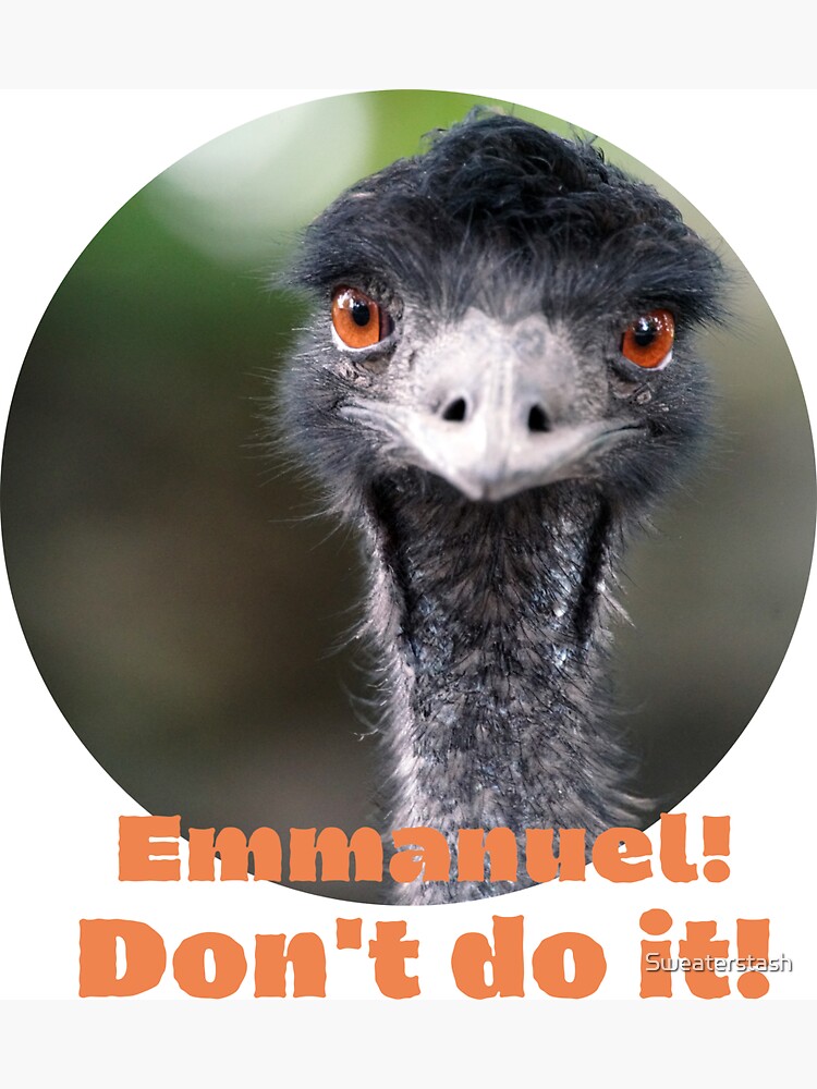 "Emmaneul dont don't do it ostrich emu knucklebump farms knucklebump ...