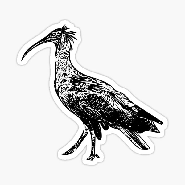 "A Northern Bald Ibis Black Design Painting Print" Sticker for Sale by ...