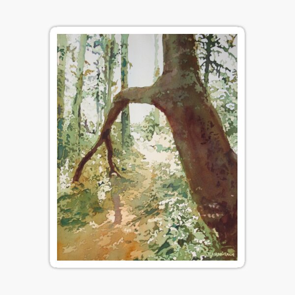 "Putting Down New Roots" Sticker for Sale by JennyArmitage | Redbubble