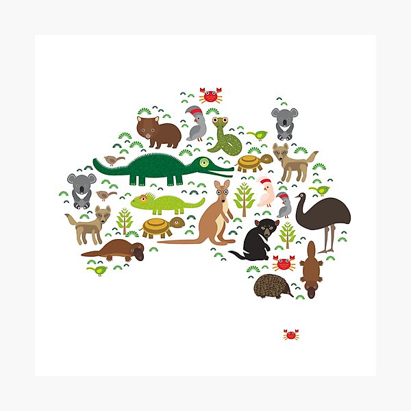 "Australische Tierkarte Echidna Platypus Strauß Emu Tasmanischer Teufel ...