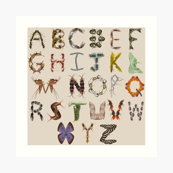 "Insect & Bug Alphabet - Phonetic Alphabet - Nature Letters " Art Print ...
