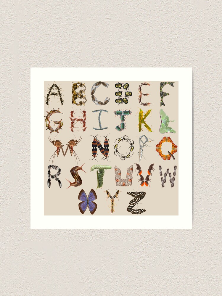 "Insect & Bug Alphabet - Phonetic Alphabet - Nature Letters " Art Print ...