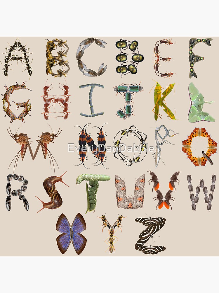 "Insect & Bug Alphabet - Phonetic Alphabet - Nature Letters " Poster ...