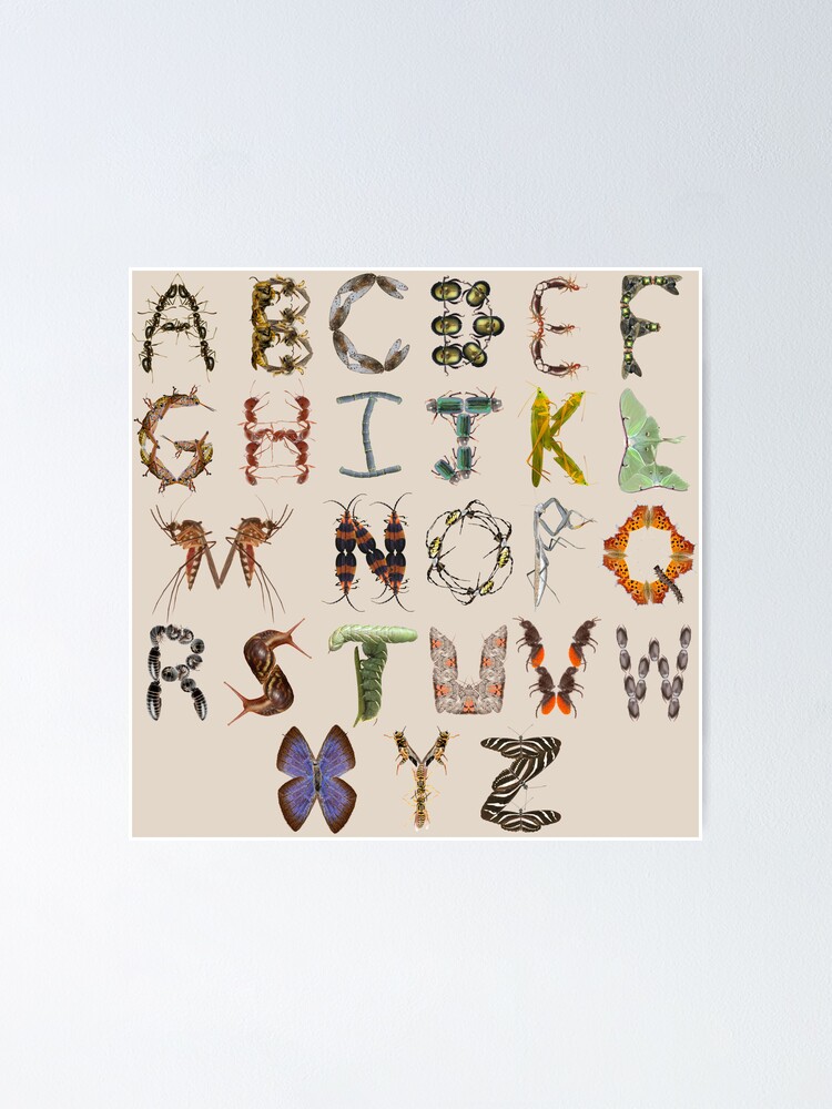 "Insect & Bug Alphabet - Phonetic Alphabet - Nature Letters " Poster ...