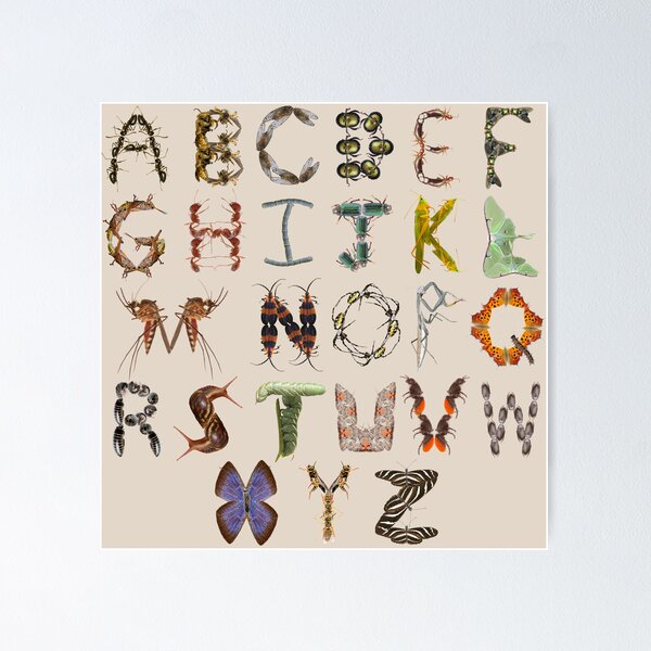 "Insect & Bug Alphabet - Phonetic Alphabet - Nature Letters " Poster ...