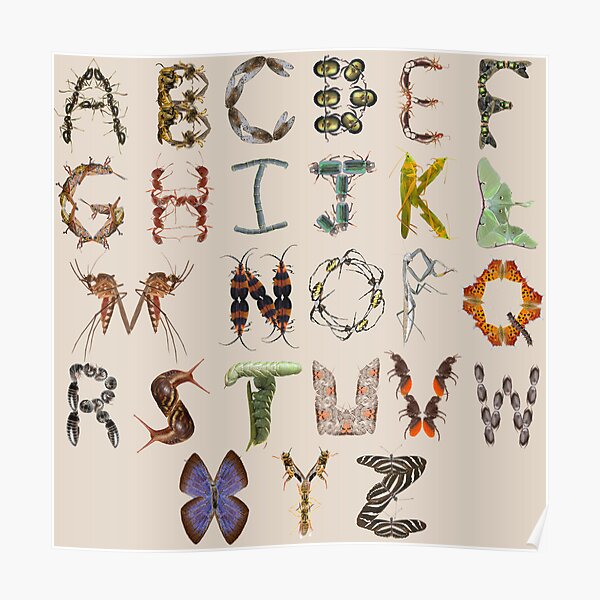 Póster «Alfabeto de insectos y bichos - Alfabeto fonético - Letras de ...
