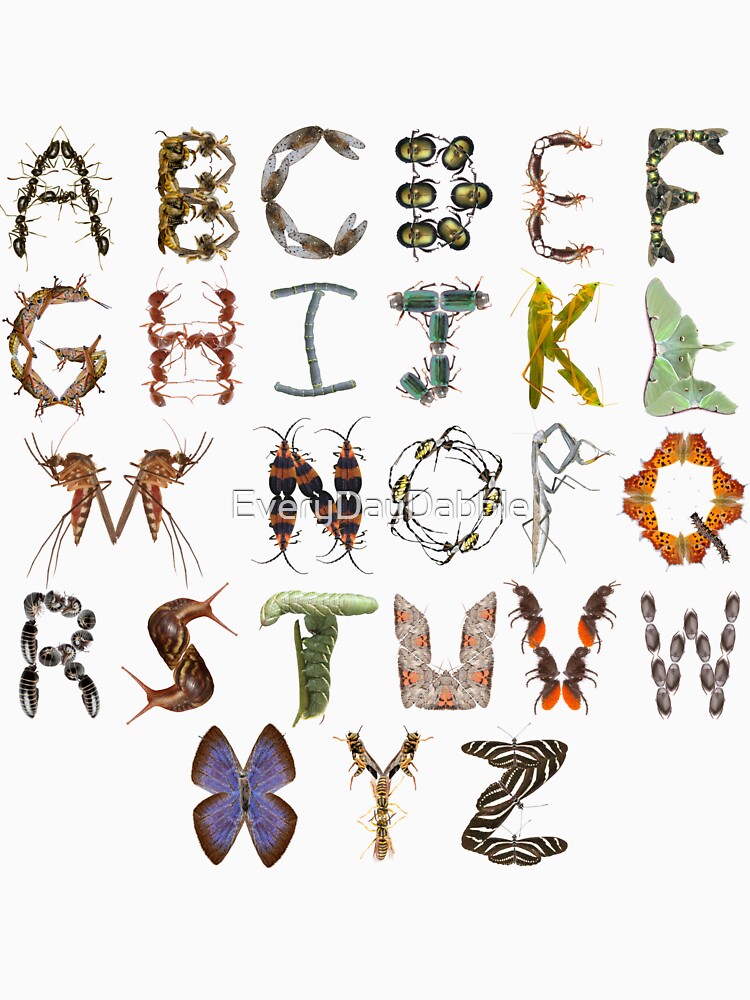 "Insect & Bug Alphabet - Phonetic Alphabet - Nature Letters " T-shirt ...