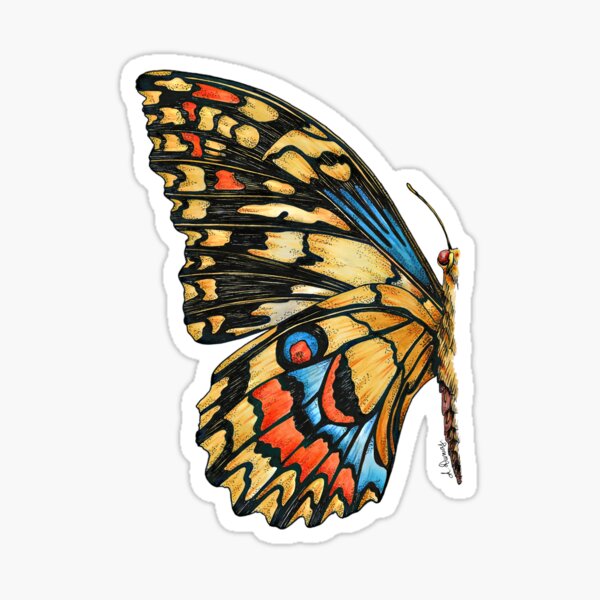 "Butterfly Wing" Sticker for Sale by PetitMartin | Redbubble