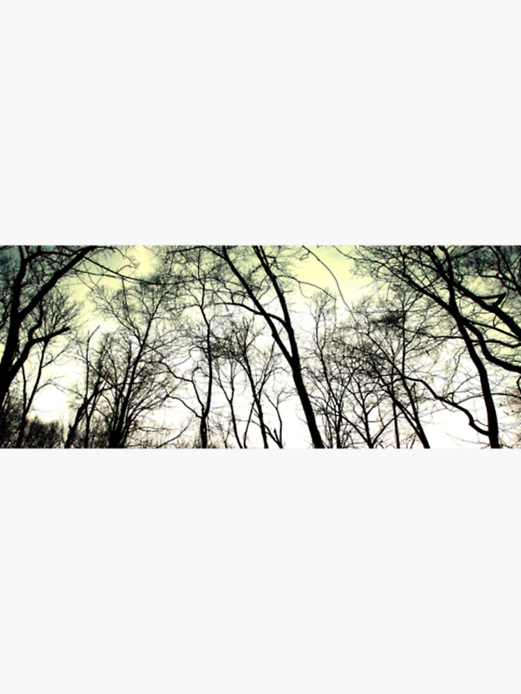 "Dark Trees From The Dark" Sticker for Sale by DavyKlaassen | Redbubble