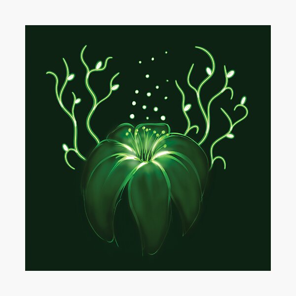 "Flower Spirits In The Forest - drawing with glow effect" Photographic ...