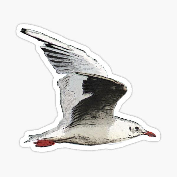 "Freebird" Sticker for Sale by Pioooh | Redbubble