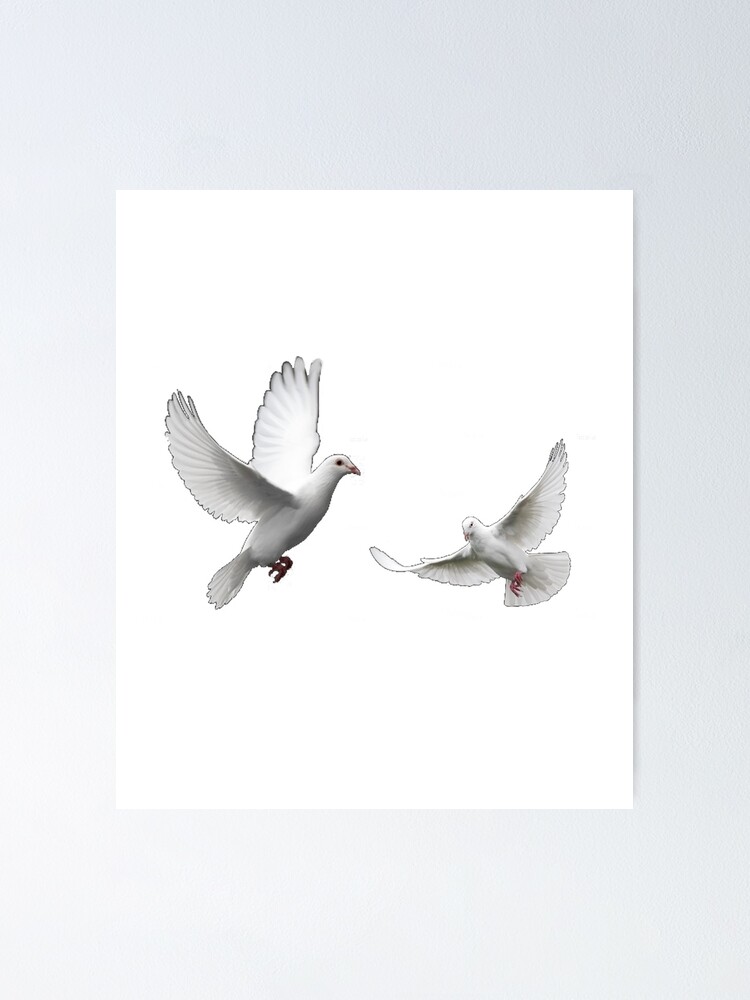 "dove bird " Poster for Sale by YAZEEDBASH | Redbubble