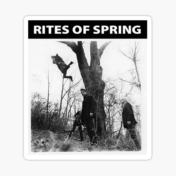 "Exciting Punk'S Visceral Passion Emoticon Rites Of Spring Tee Band Emo ...