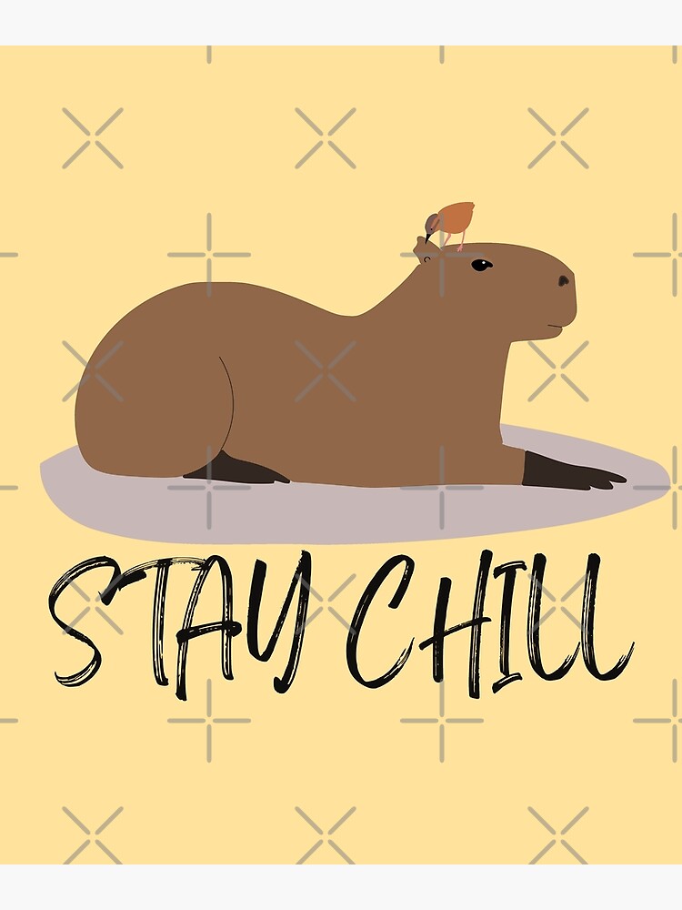 "Capybara, Stay chill" Poster for Sale by artbleed | Redbubble