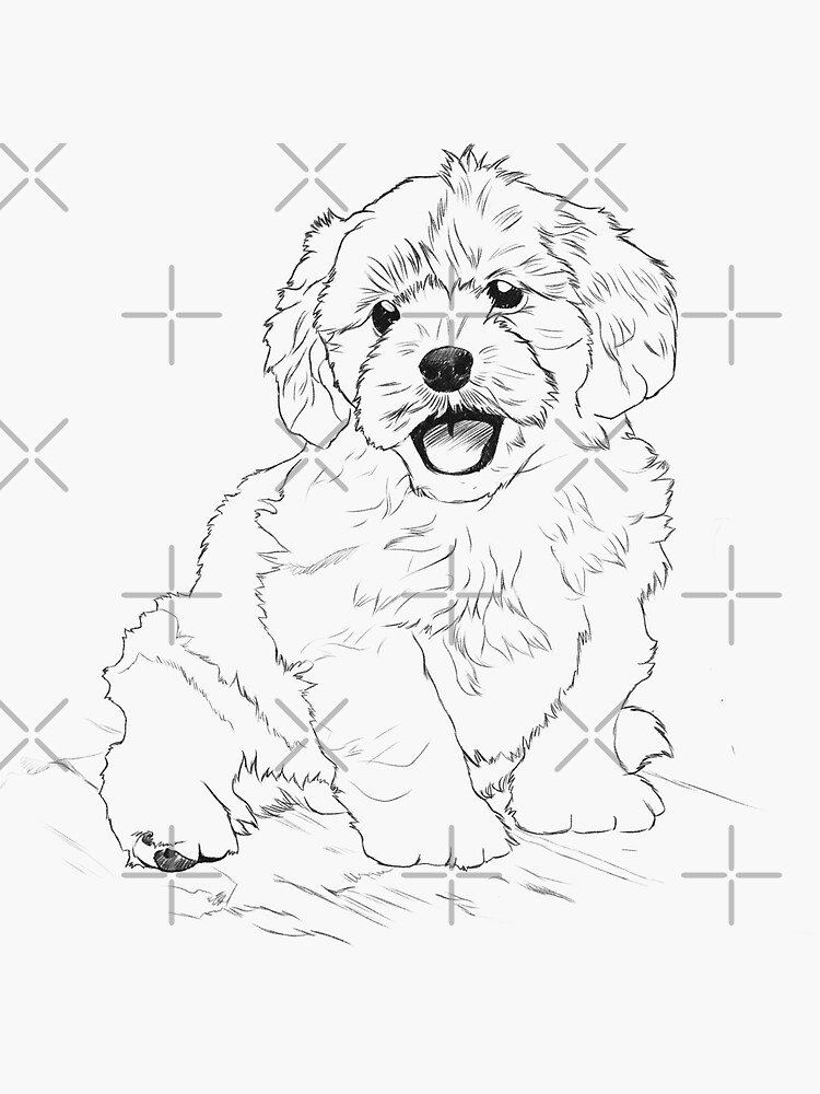 "Shichon drawing - Shichon lover" Sticker for Sale by zilvart- | Redbubble