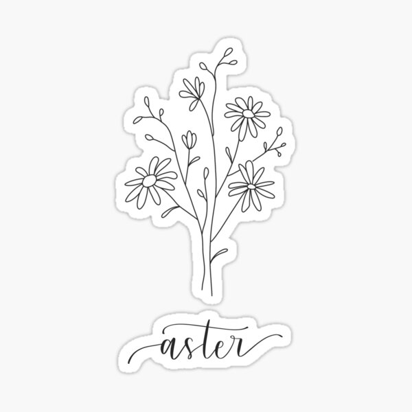 "Aster Flower Minimalist Illustration" Sticker for Sale by PetitePetals ...