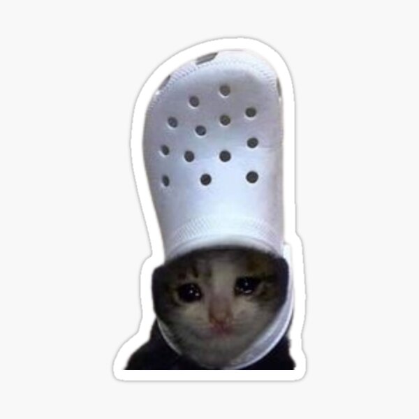 Crying Cat Meme Sticker Sticker For Sale By Achraafshop Redbubble