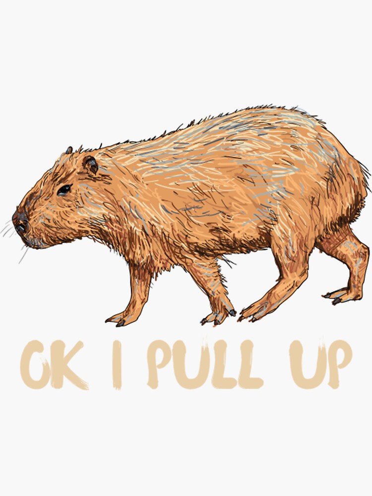 "Funny Capybara Ok I pull up" Sticker for Sale by JamauDS | Redbubble