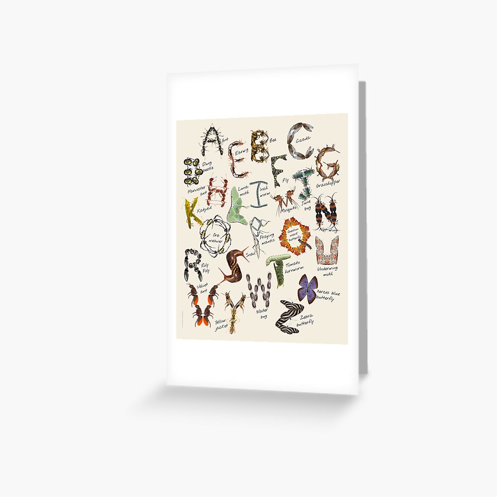 "Insect Alphabet | Bug Alphabet | Phonetic Bug Lover ABCs" Greeting ...