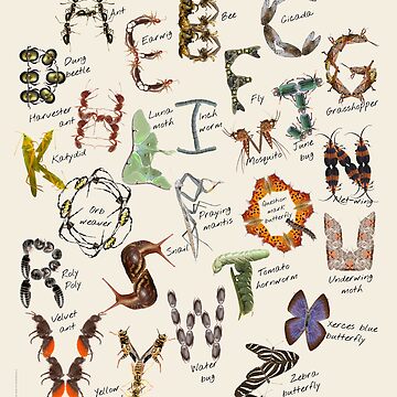 "Insect Alphabet | Bug Alphabet | Phonetic Bug Lover ABCs" Poster for ...
